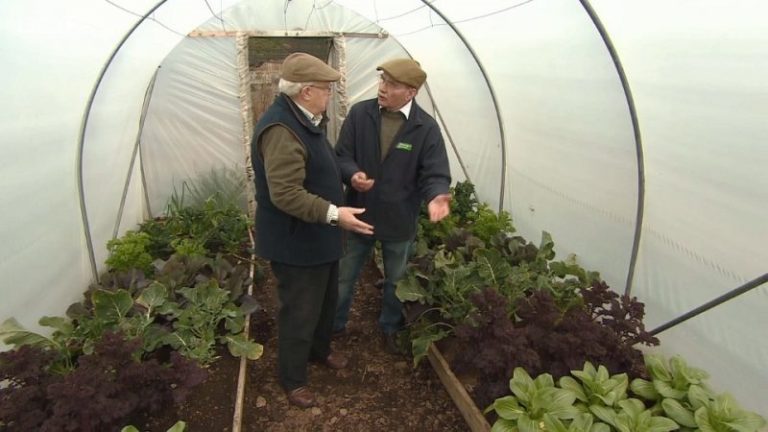 The Beechgrove Garden episode 1 2017 - Beechgrove Garden returns