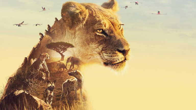 Serengeti episode 1 - HDclump