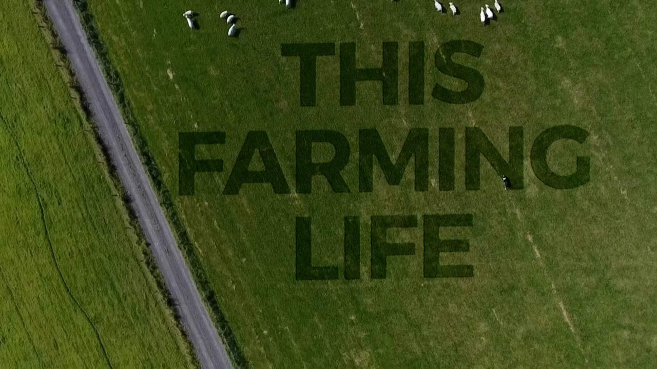 This Farming Life episode 11 - HDclump
